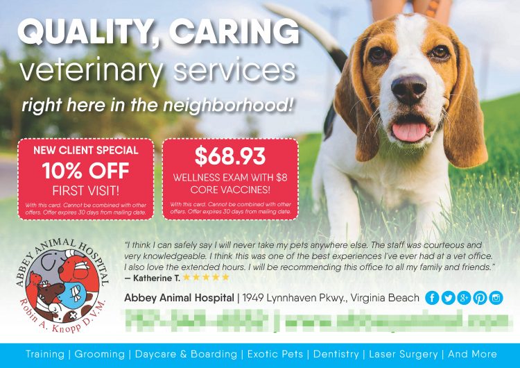 Learn from these campaigns — they generated between $10k–$36k!