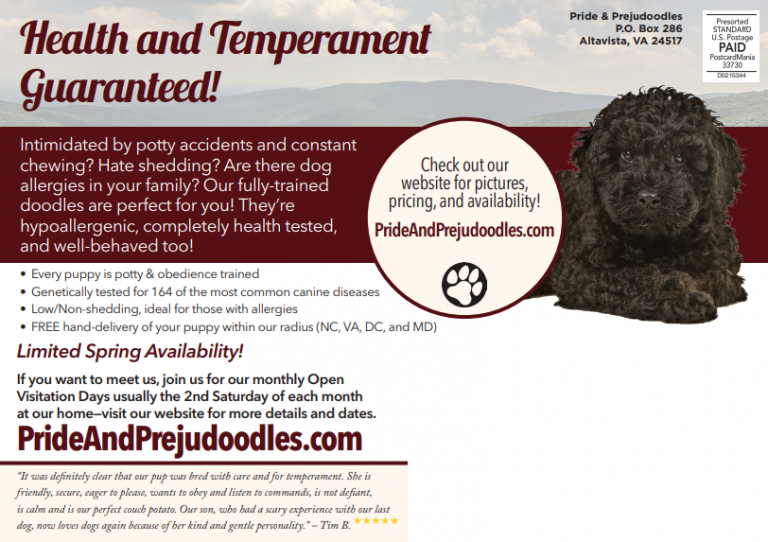 20 Genius Veterinary Marketing Ideas You Should Use