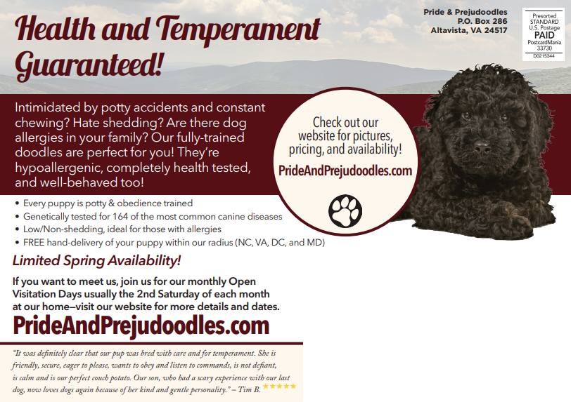 20 Genius Veterinary Marketing Ideas You Should Use