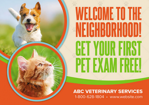 20 Genius Veterinary Marketing Ideas You Should Use