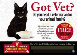 20 Genius Veterinary Marketing Ideas You Should Use